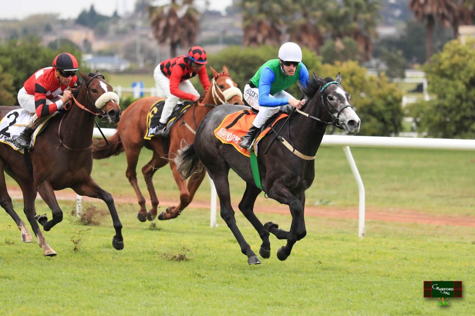 L’Ormarins King’s Plate Day – Crawford Racing Runners | Crawford Racing