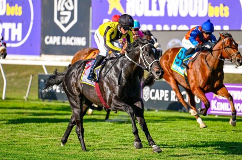 Hollywoodbets Cape Guineas – Crawford Runners | Crawford Racing
