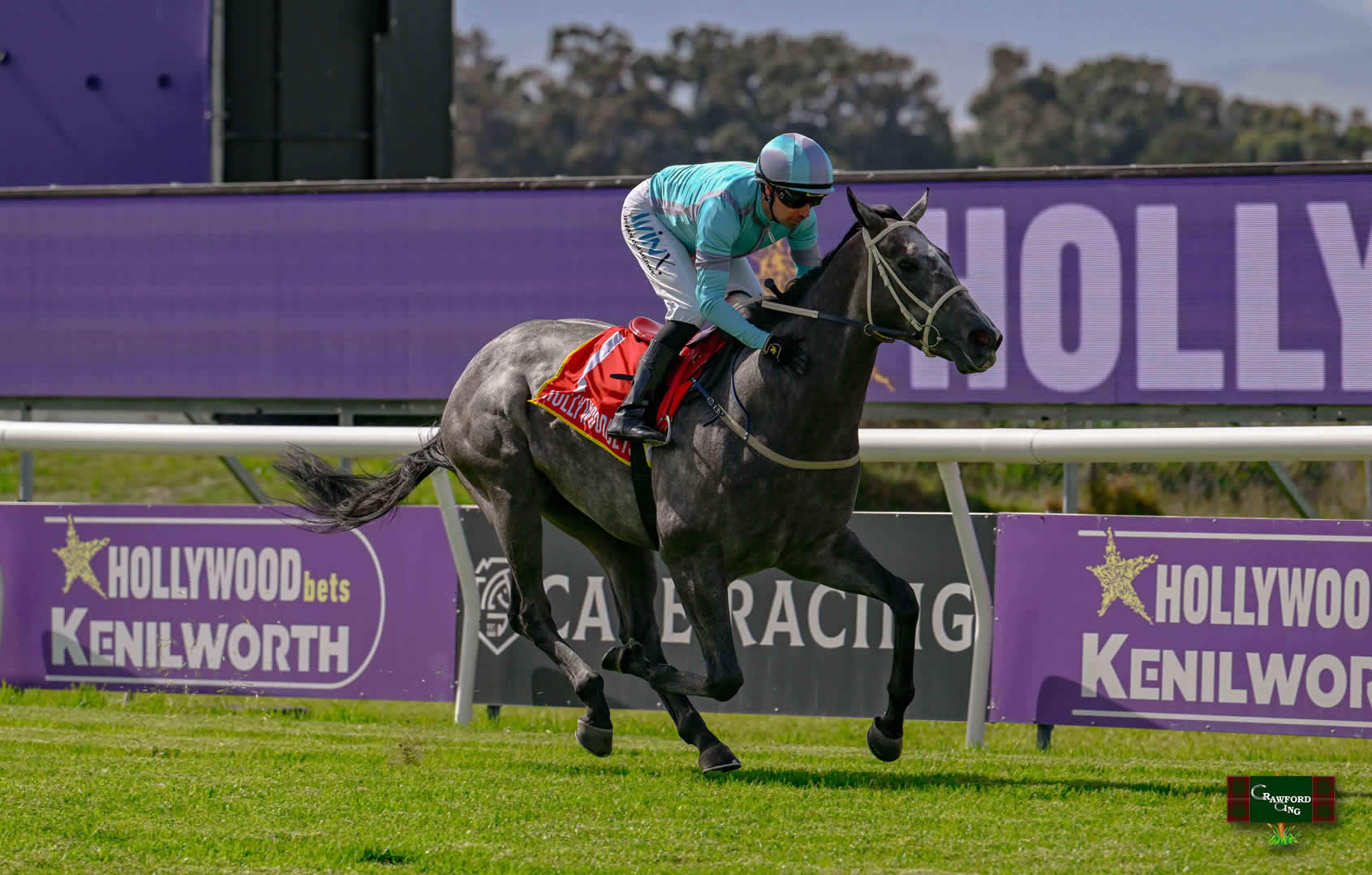 NORTH POINT | Crawford Racing