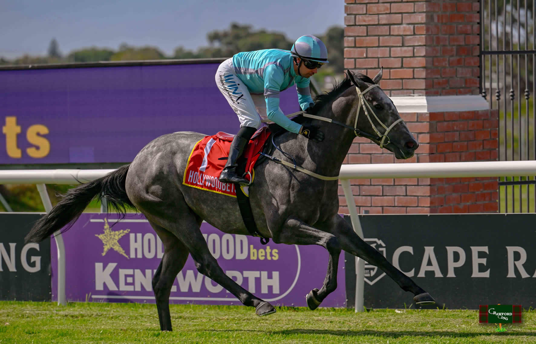 NORTH POINT | Crawford Racing