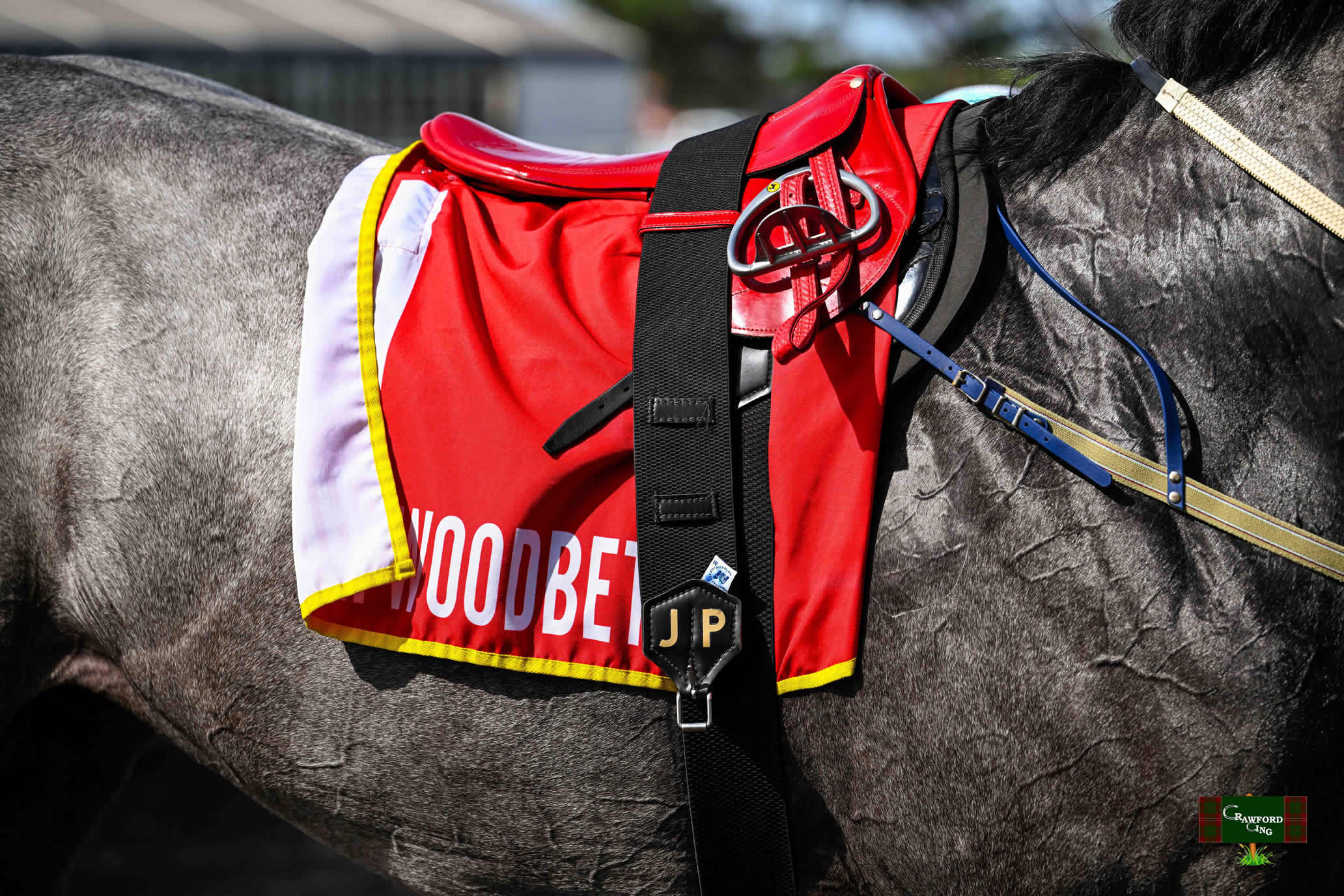 NORTH POINT | Crawford Racing